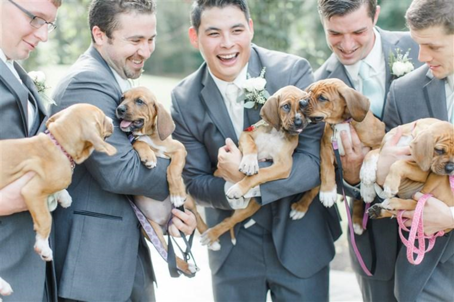 Pets in Weddings: 7 Adorable Ways to Include Your Pet In Your Wedding