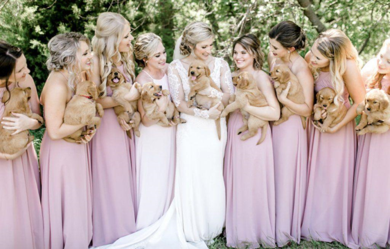 Pets in Weddings: 7 Adorable Ways to Include Your Pet In Your Wedding