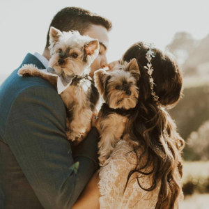 Pets in Weddings: 7 Adorable Ways to Include Your Pet In Your Wedding