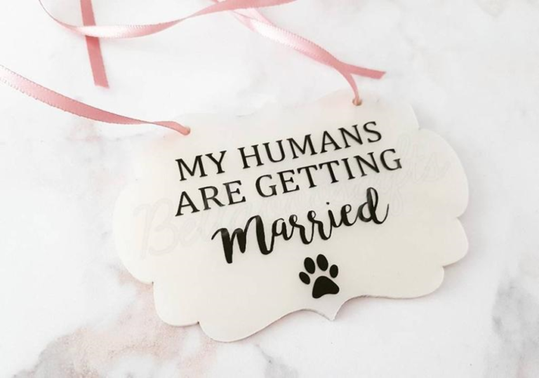 Pets in Weddings: 7 Adorable Ways to Include Your Pet In Your Wedding